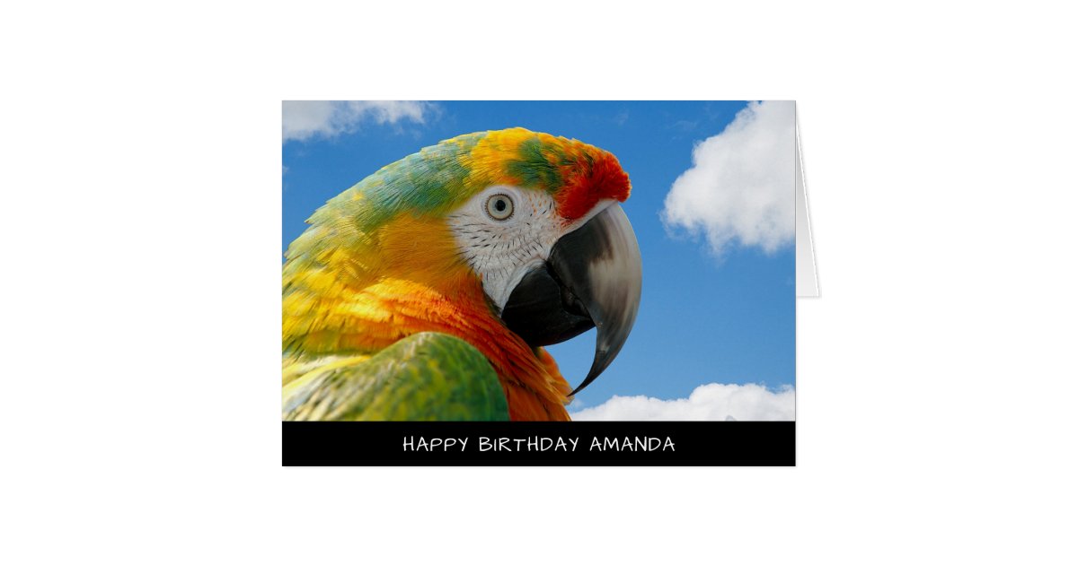 Cute Parrot Birthday Card | Zazzle
