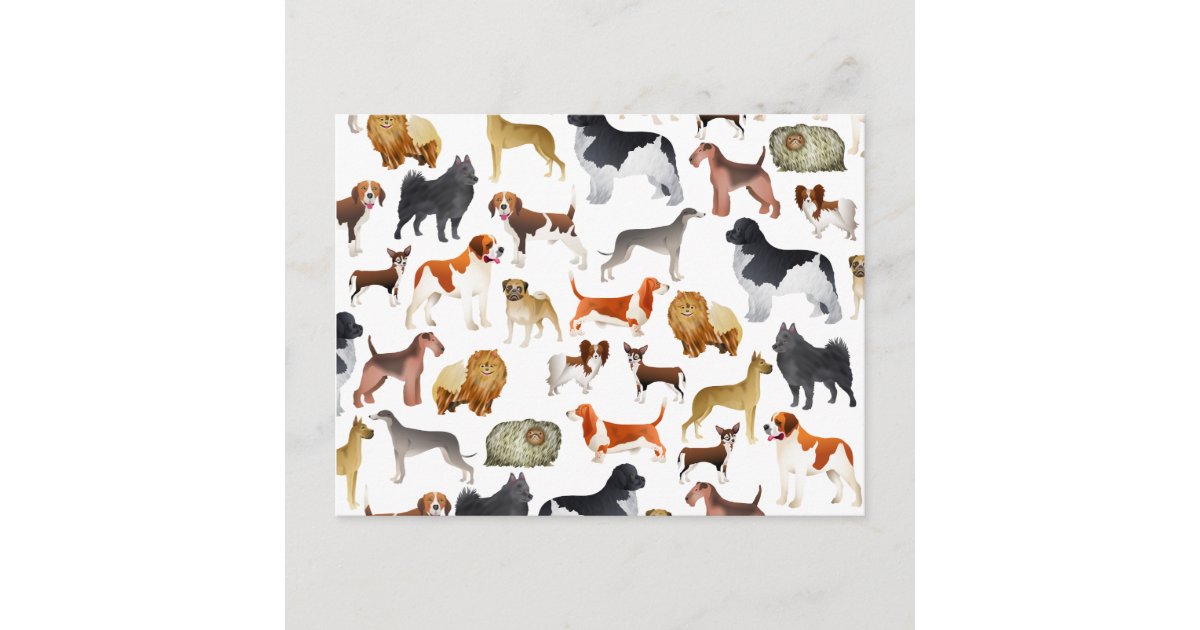 Cute Pedigree Pet Dog Wallpaper Design Postcard | Zazzle