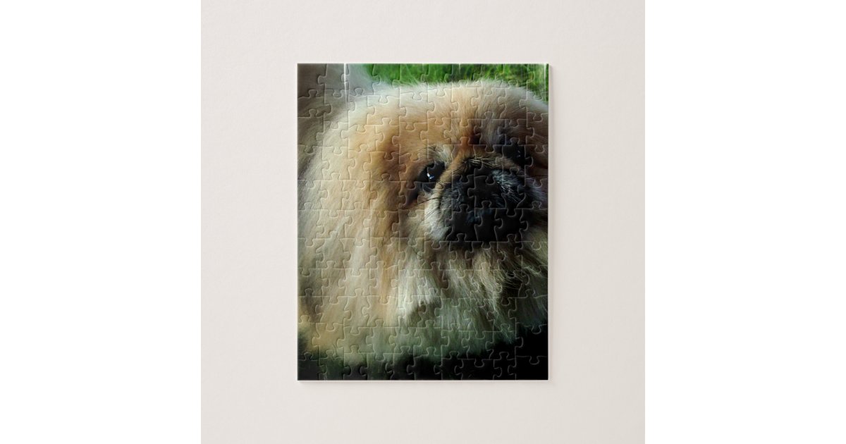 Cute Pekingese Puzzle | Zazzle