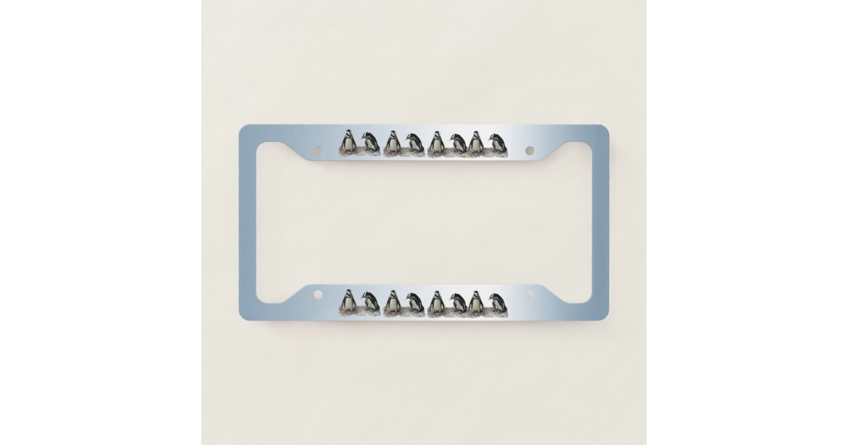 Cute Penguin Birds Blue License Plate Frame | Zazzle