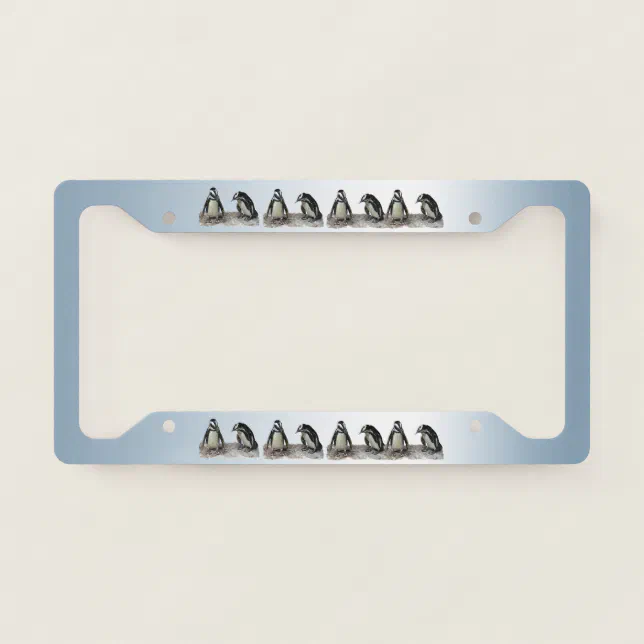 Cute Penguin Birds Blue License Plate Frame | Zazzle