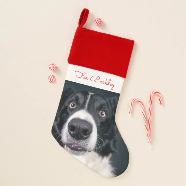 Cute Personalized Dog Pet Photo Christmas Stocking | Zazzle