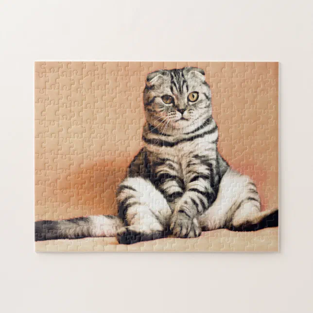 Cute Pet Cat Photo Jigsaw Puzzle | Zazzle