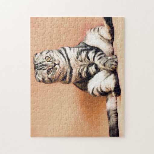 Cute Pet Cat Photo Jigsaw Puzzle | Zazzle