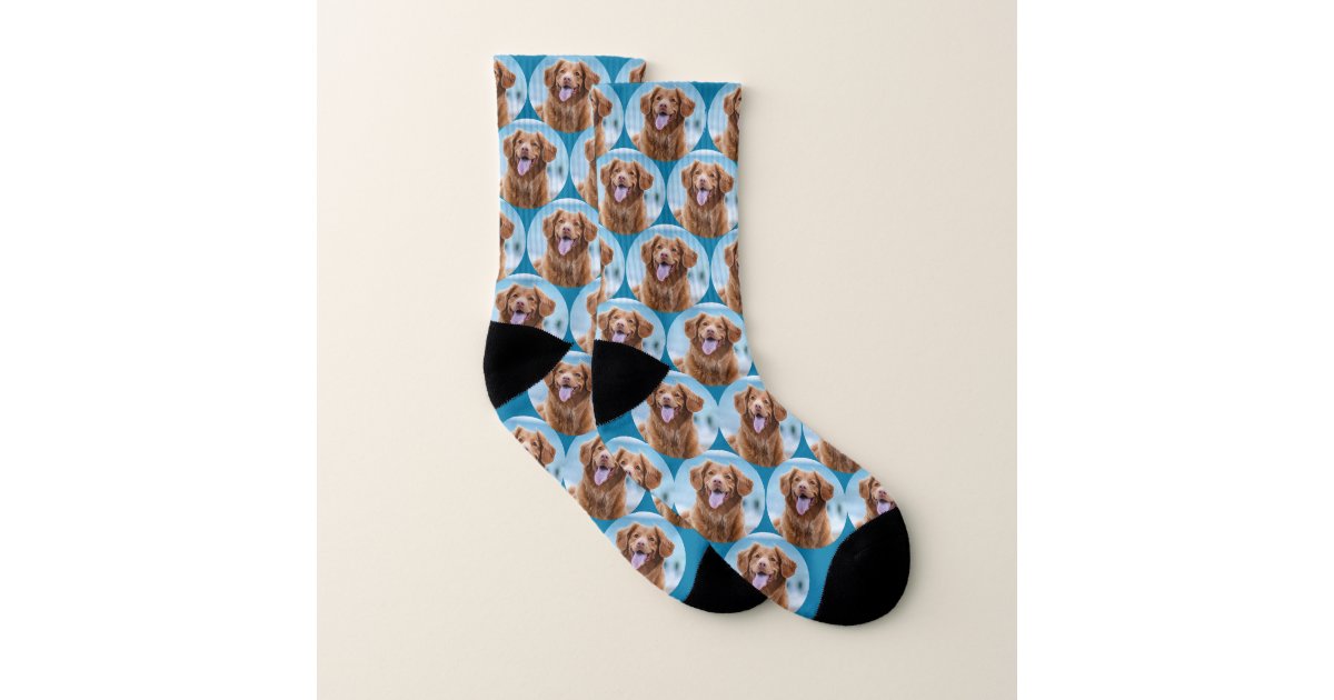 Cute Pet Dog Teal Blue Photo Socks | Zazzle