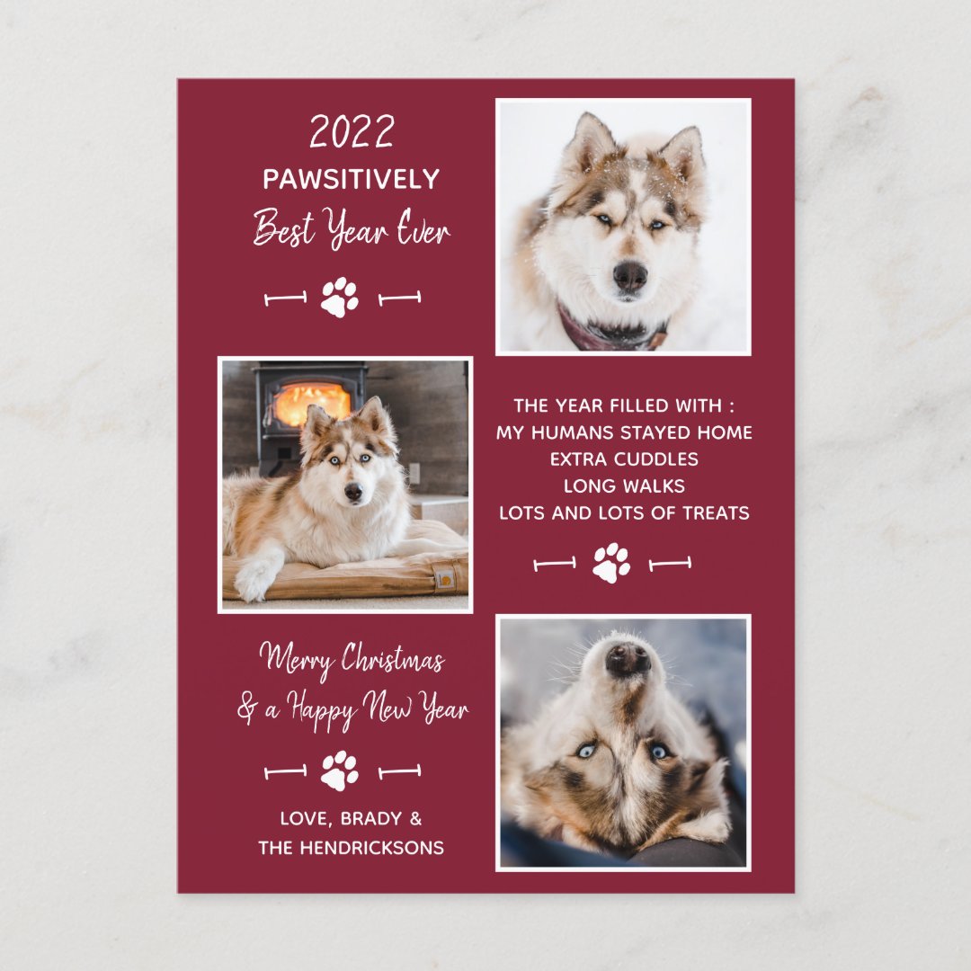 Cute Pet Year in Review Custom Dog Photo Collage Holiday Postcard | Zazzle