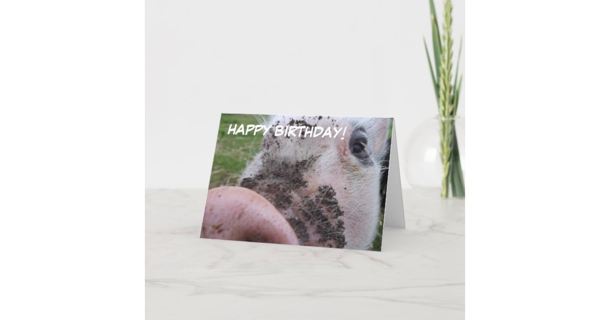 Cute Pig Birthday Card | Zazzle