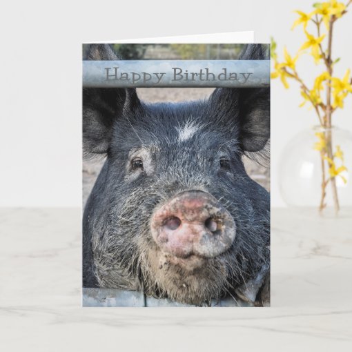 cute Pig Birthday card | Zazzle