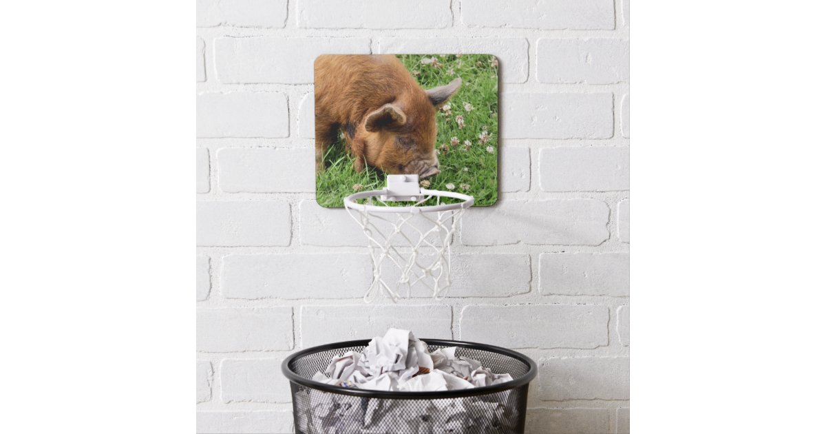 CUTE PIG MINI BASKETBALL HOOP | Zazzle