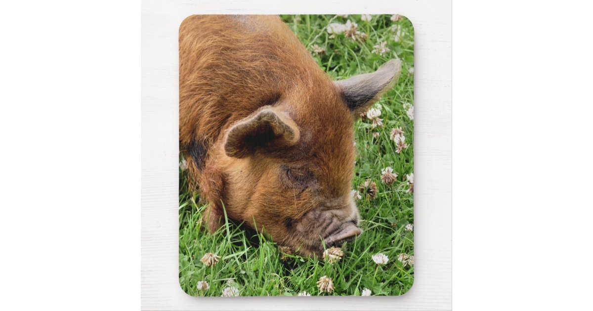 CUTE PIG MOUSE PAD | Zazzle