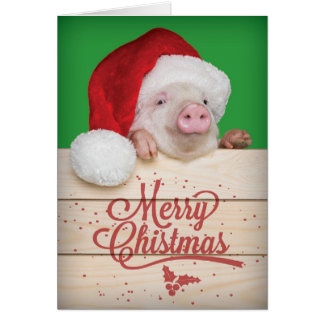 Funny Pig Christmas Cards - Greeting & Photo Cards | Zazzle