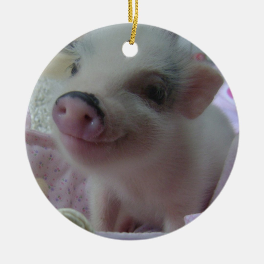 Cute Piglet Ornament | Zazzle