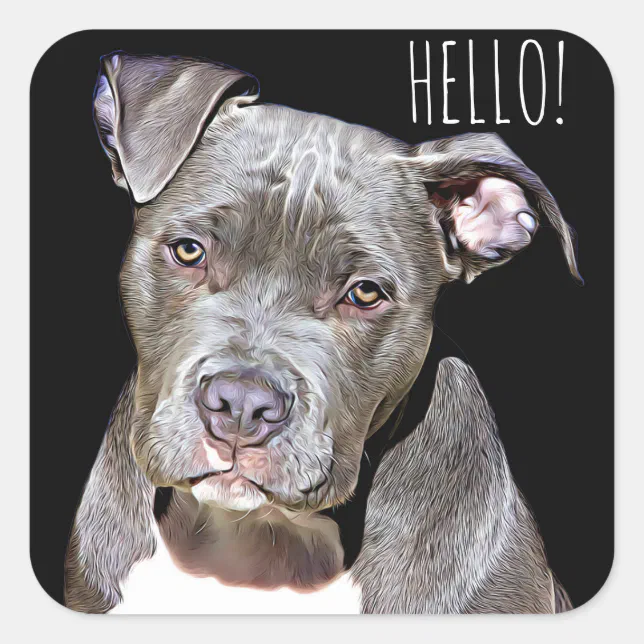 Cute Pit Bull Dog HELLO Stickers | Zazzle