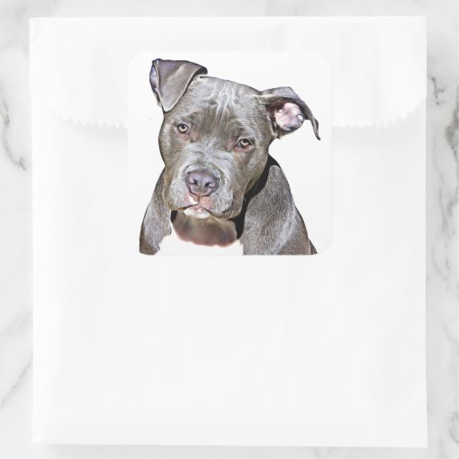 Cute Pit Bull Dog Stickers | Zazzle