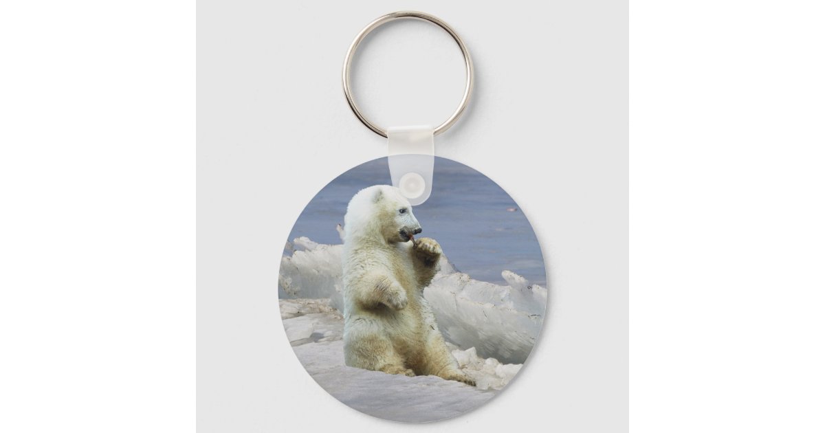 Cute Polar Bear Cub & Arctic Ice Keychain | Zazzle