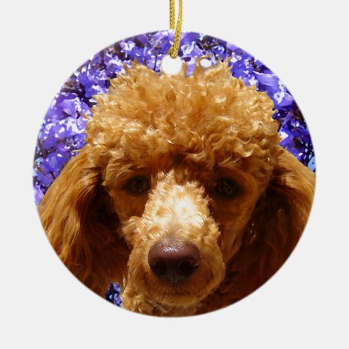 Poodle Christmas Ornaments | Zazzle - 100% Satisfaction Guaranteed