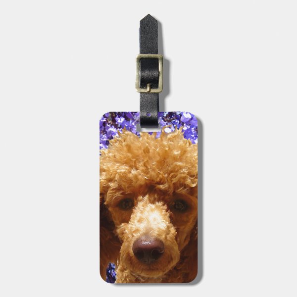 Personalized Poodle Gifts on Zazzle