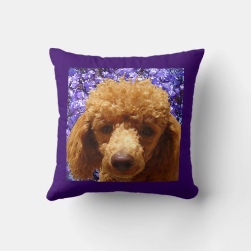 Cute Poodle Throw Pillow | Zazzle