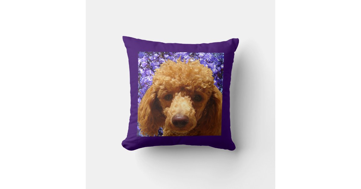 Cute Poodle Throw Pillow | Zazzle