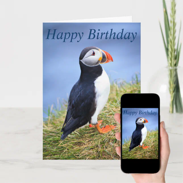 Cute Puffin Happy Birthday Greeting Card | Zazzle