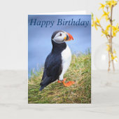 Cute Puffin Happy Birthday Greeting Card | Zazzle