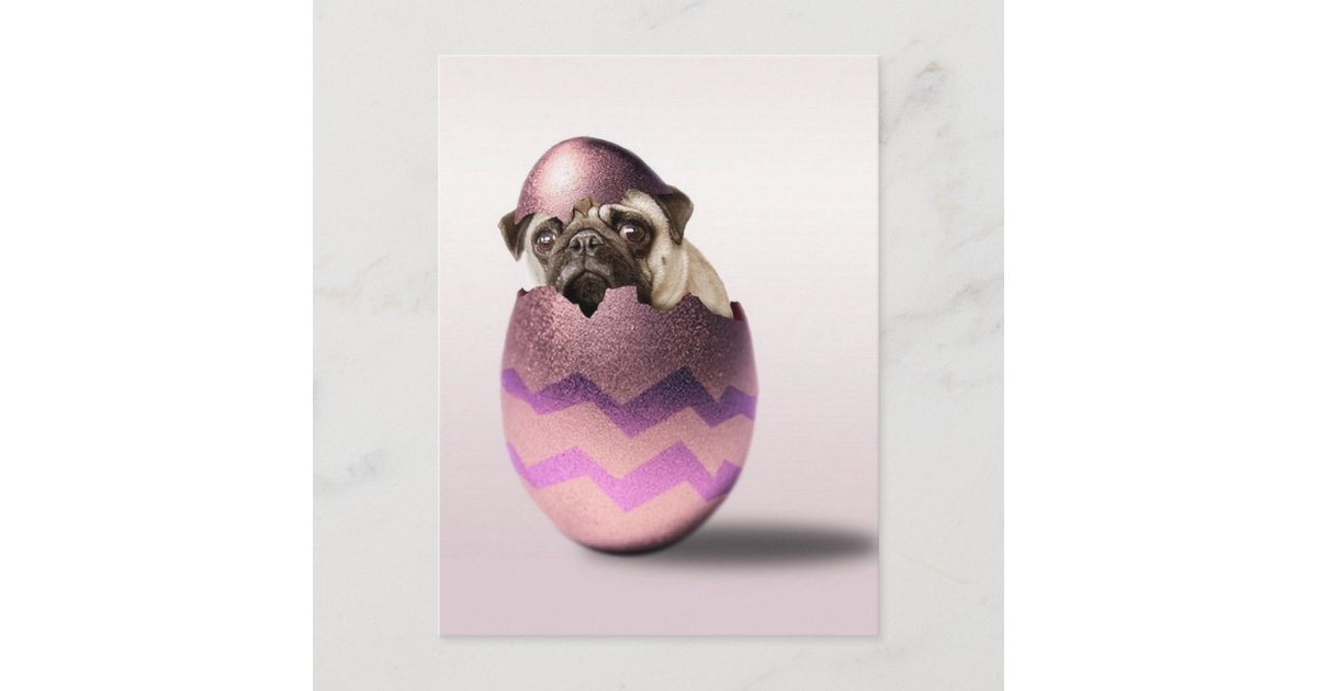 Cute Pug Easter Egg Design Holiday Postcard | Zazzle