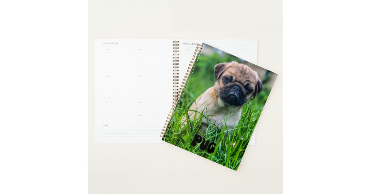 Cute Pug Puppy Calendar Planner | Zazzle