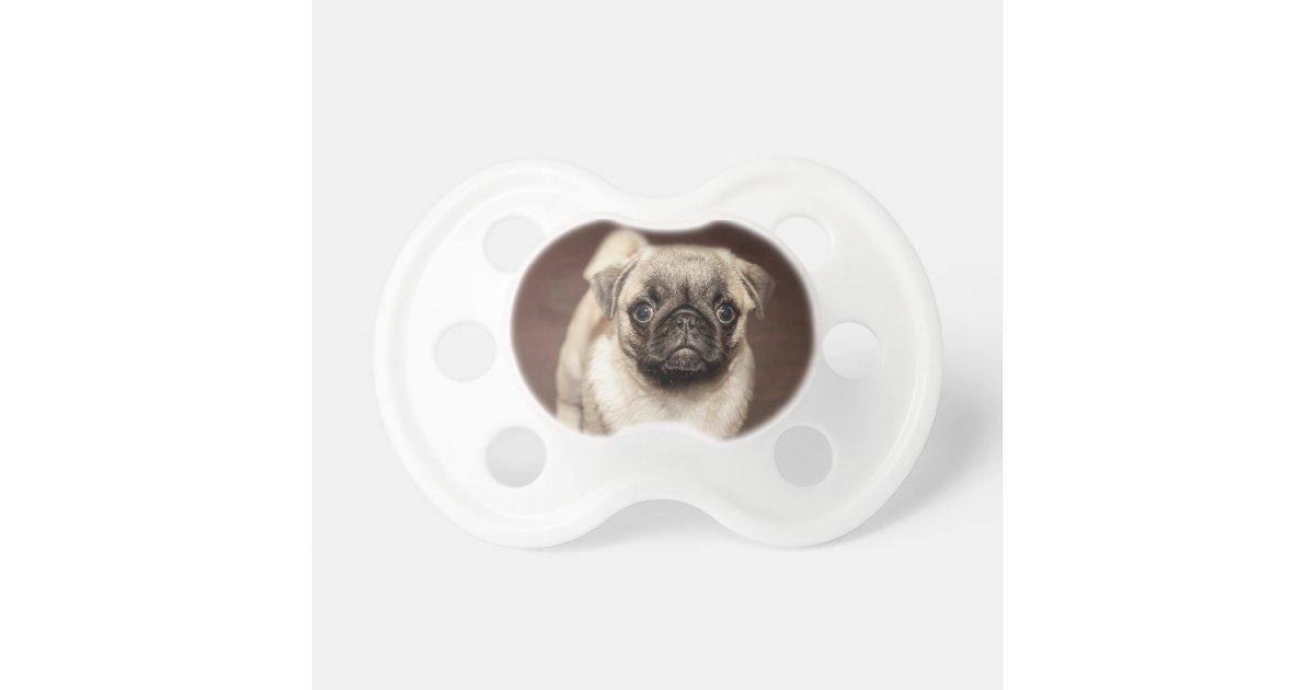 Cute Pug Puppy Photo Pacifier | Zazzle