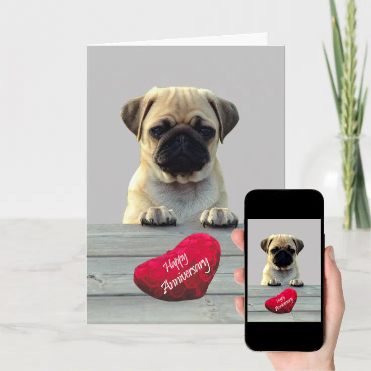 Cute Pug Wishing Happy Anniversary greeting card | Zazzle