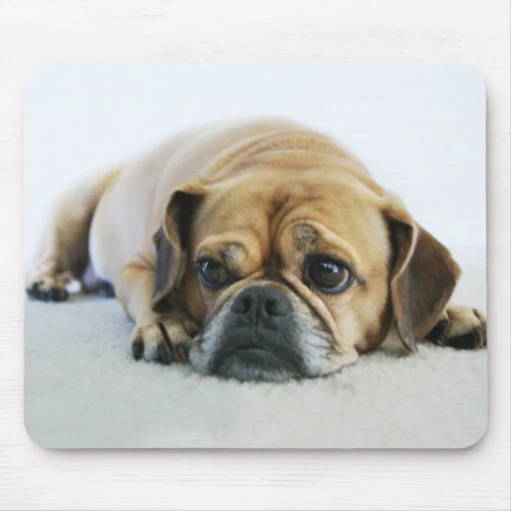Cute Puggle Mousepad | Zazzle