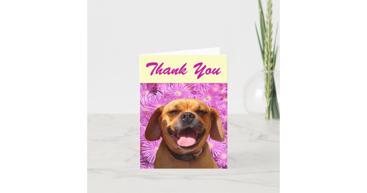 Cute Puggle Thank You Card | Zazzle