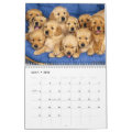 Cute Puppies and Kittens Calendar | Zazzle