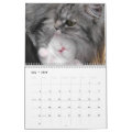 Cute Puppies and Kittens Calendar | Zazzle