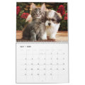 Cute Puppies and Kittens Calendar | Zazzle