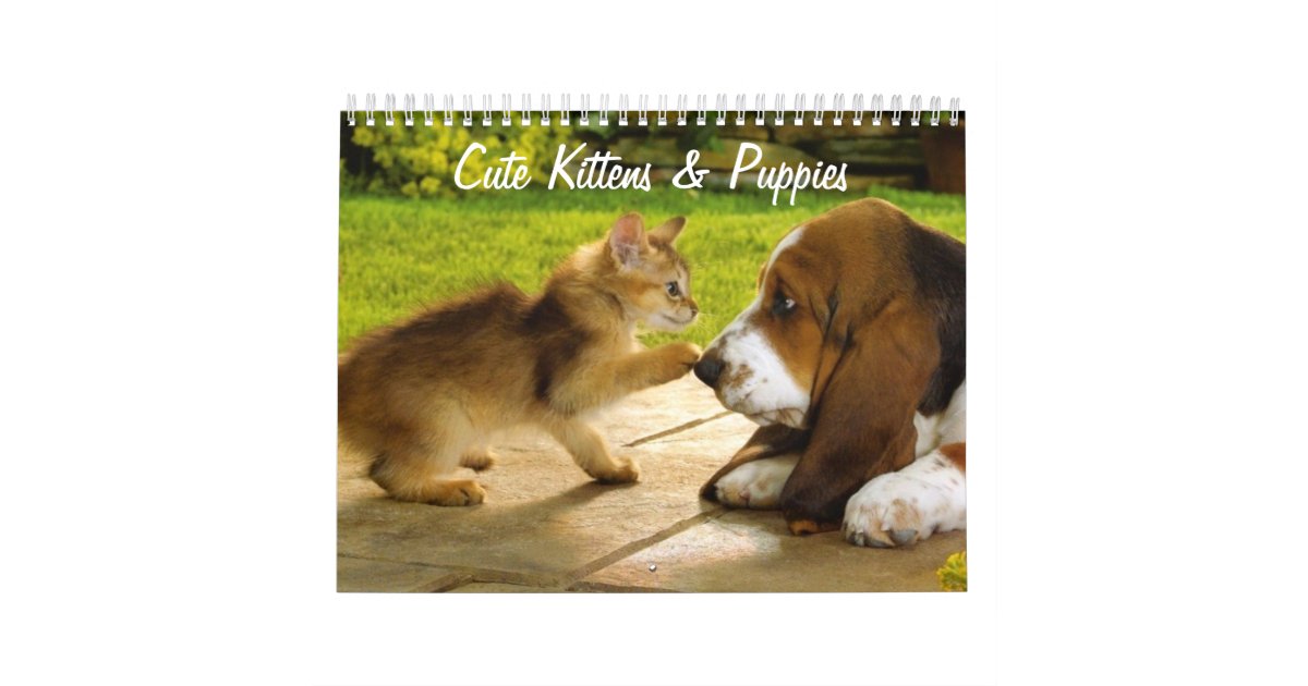 Cute Puppies and Kittens Calendar | Zazzle