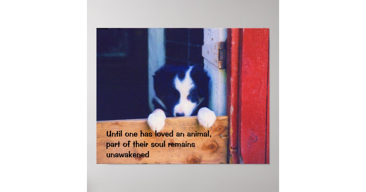 Cute Puppy Animals Inspirational Quote Poster | Zazzle