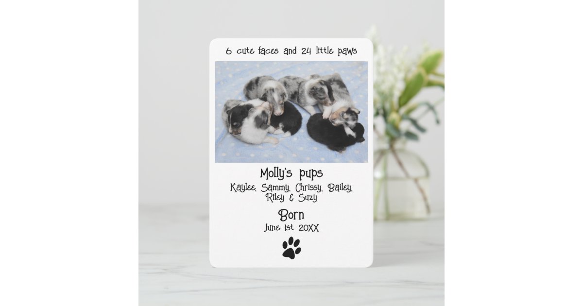 Cute Puppy Birth Announcement Card | Zazzle