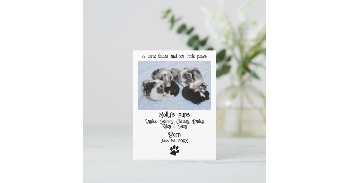 Cute Puppy Birth Announcement Postcard | Zazzle