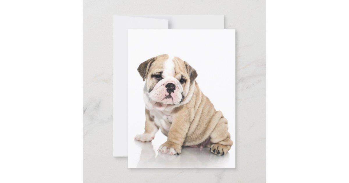 Cute Puppy Bulldog Sad Invitation | Zazzle