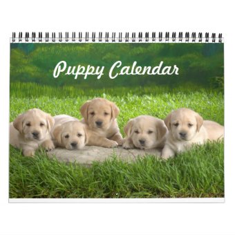Cute Puppy Calendar | Zazzle