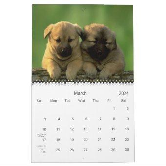 Cute Puppy Calendar | Zazzle