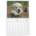 Cute Puppy Calendar | Zazzle