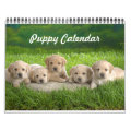 Cute Puppy Calendar | Zazzle