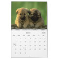 Cute Puppy Calendar | Zazzle