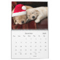 Cute Puppy Calendar | Zazzle