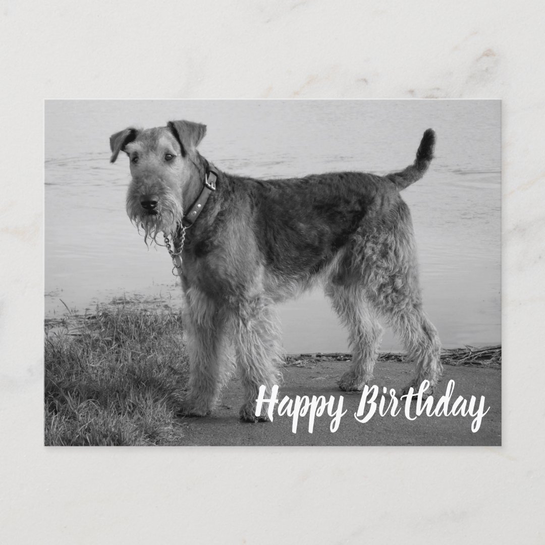 Cute Puppy Dog Airedale Terrier Happy Birthday Postcard | Zazzle