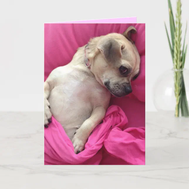 Cute Puppy Dog Chug in Pink Sheets Greeting Card | Zazzle