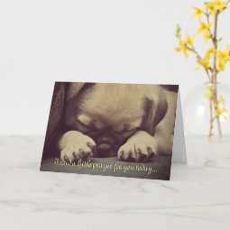 Cute Puppy Dog Get Well Soon Greeting Card | Zazzle