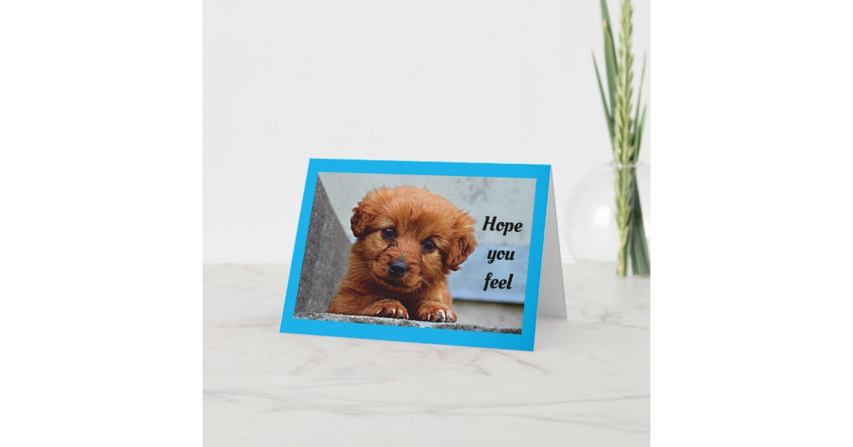 Cute Puppy Get Well Card | Zazzle