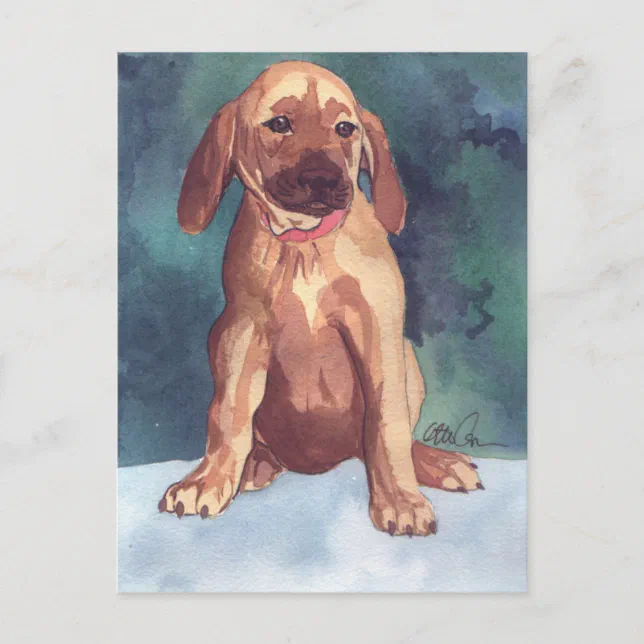 Cute Puppy postcard | Zazzle